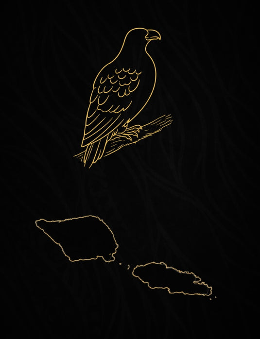 Manu (Manumea) — Samoa’s National Bird | Native Fans – Native Fans Co